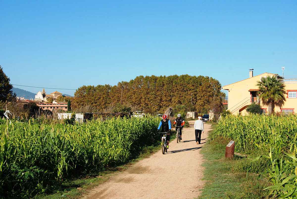 LA RUTA DE LA TORDERA I LA RIERA D’ARBÚCIES | Tourdera
